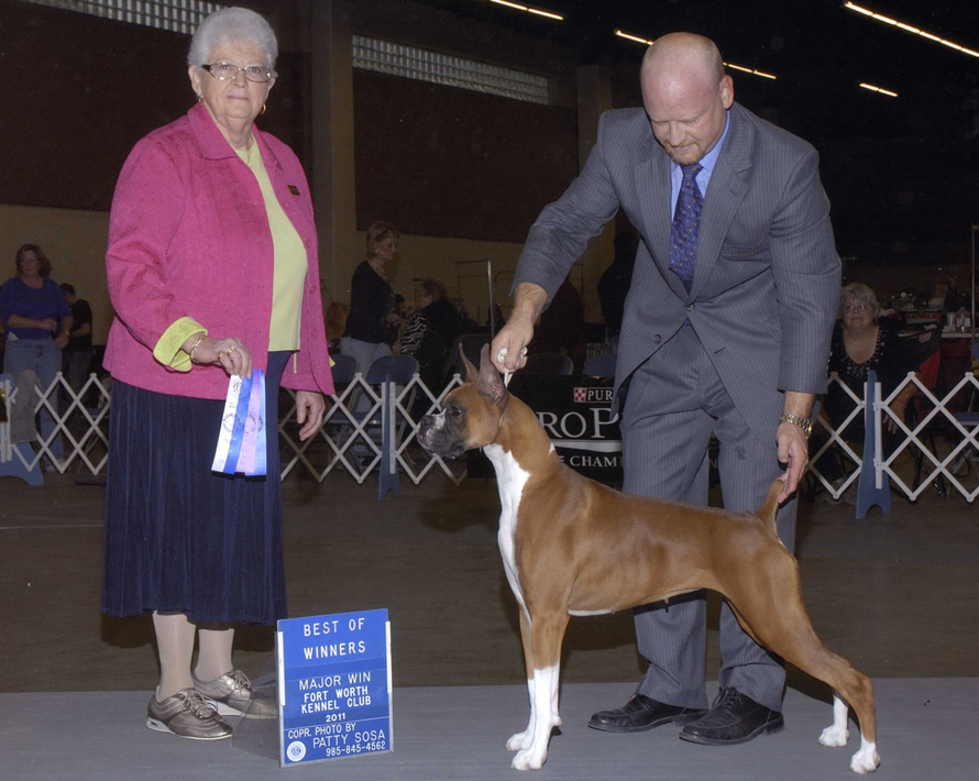 Cora – Bluecollar Boxers