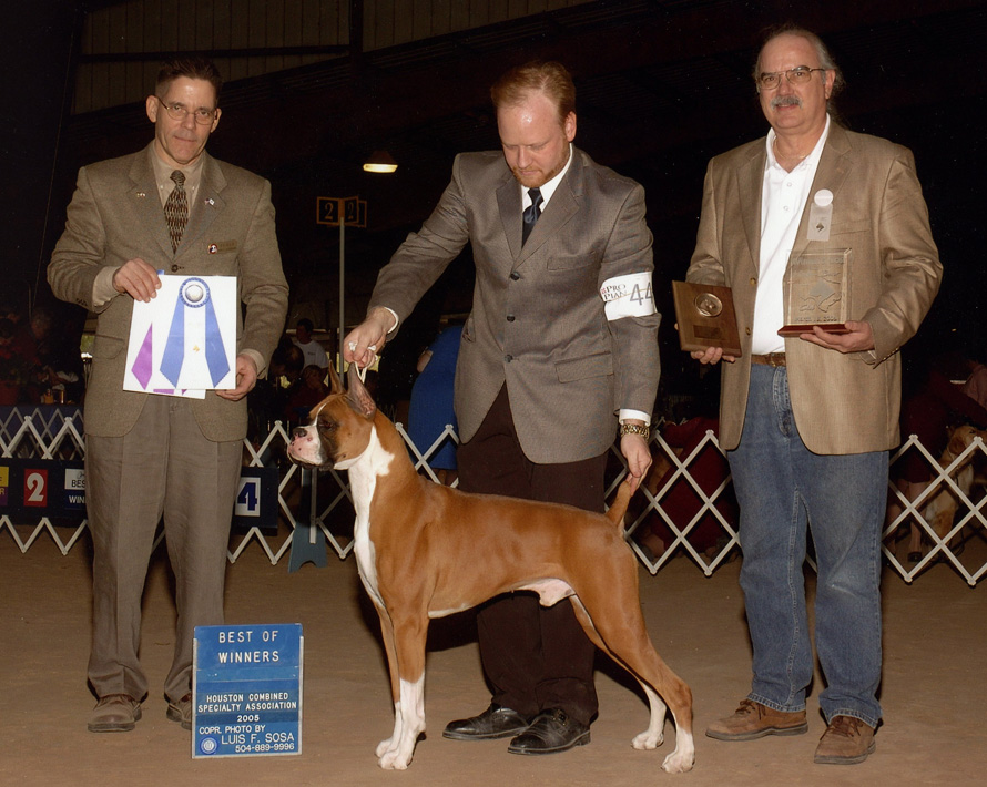 Hans – Bluecollar Boxers